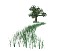 Grass GIFs - Get the best gif on GIFER