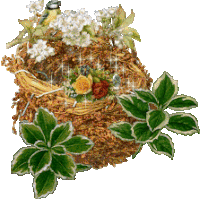 Nest GIFs - Get the best gif on GIFER