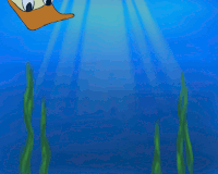 Swiming GIFs - Get the best gif on GIFER