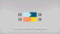 Biochemistry GIFs - Get the best gif on GIFER