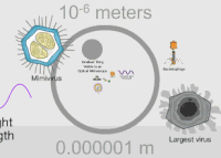 Measurement GIFs - Get the best gif on GIFER