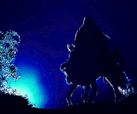 Middle earth GIFs - Get the best gif on GIFER