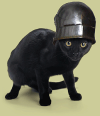 Armor GIFs - Get the best gif on GIFER