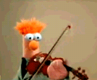 Muppets GIFs - Get the best gif on GIFER