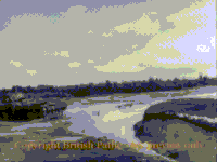 Bundle GIFs - Get the best gif on GIFER