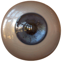 Eye GIFs - Get the best gif on GIFER