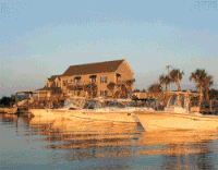 Ile GIFs - Get the best gif on GIFER