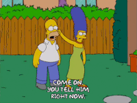 Pull GIFs - Get the best gif on GIFER