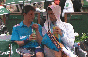 Commoner GIFs - Get the best gif on GIFER