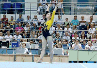 Conqueror GIFs - Get the best gif on GIFER