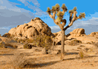Desert GIFs - Get the best gif on GIFER