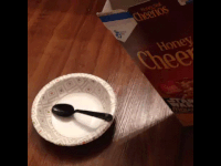 Serpent GIFs - Get the best gif on GIFER