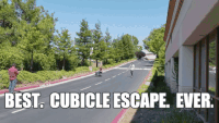 Cubicle GIFs - Get the best gif on GIFER