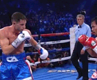Dominance GIFs - Get the best gif on GIFER