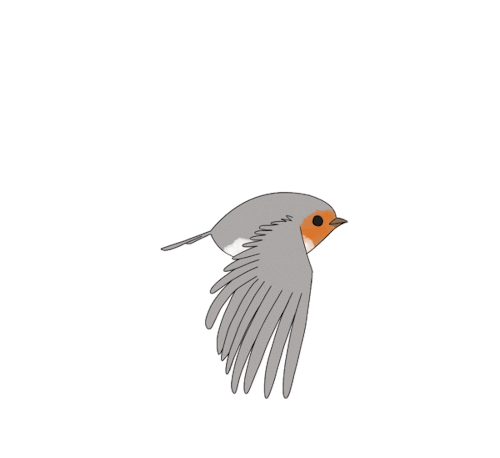 Flight cycle GIF - Conseguir o melhor gif em GIFER