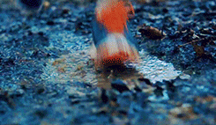 Microtransaction гифки, анимированные GIF изображения microtransaction ...