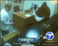Robbing Fail Gif