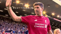 Gerrard GIFs - Get the best gif on GIFER