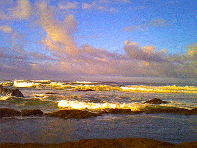 Seashore GIFs - Get the best gif on GIFER