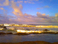 California GIFs - Get the best gif on GIFER