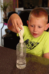 Stem GIFs - Get the best gif on GIFER