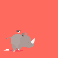 Shoutout GIFs - Get the best gif on GIFER