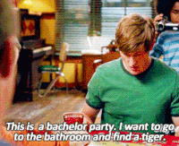 Burts GIFs - Get the best gif on GIFER