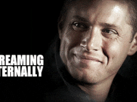 Falsch GIFs - Get the best gif on GIFER