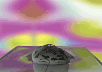 Emerging from water GIFs - Get the best gif on GIFER