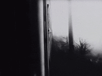 Uncertainty GIFs - Get the best gif on GIFER