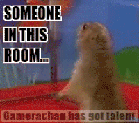 Chipmunks GIFs - Get the best gif on GIFER