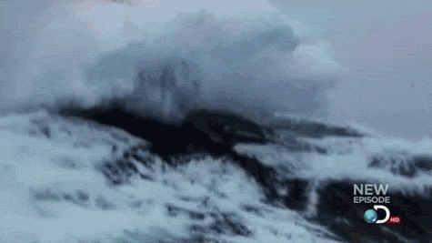 Deadliest catch GIF - Conseguir o melhor gif em GIFER