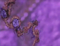 Chromosomes GIFs - Get the best gif on GIFER