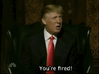 Apprentice GIFs - Get the best gif on GIFER