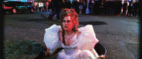Enchanted GIFs - Get the best gif on GIFER