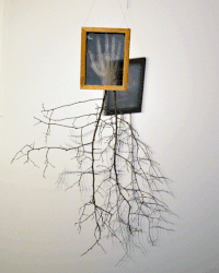 Nikon GIFs - Get the best gif on GIFER