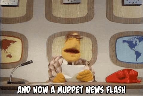 Muppet news flash гифки, анимированные GIF изображения muppet news ...