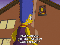 Spraying GIFs - Get the best gif on GIFER