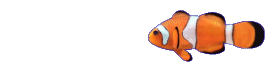 Clown fish GIF - Conseguir o melhor gif em GIFER