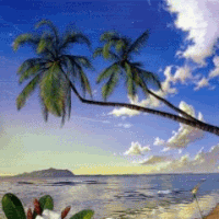 Palmiers GIFs - Get the best gif on GIFER