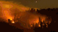 Wald GIFs - Get the best gif on GIFER