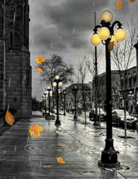 Autumn GIFs - Get the best gif on GIFER