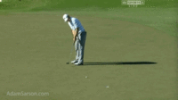 Roundup GIFs - Get the best gif on GIFER