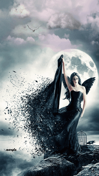 Spacer GIFs - Get the best gif on GIFER