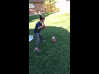 Definitely GIFs - Get the best gif on GIFER