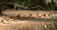 Ant GIFs - Get the best gif on GIFER