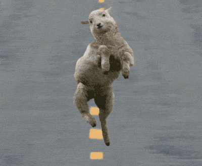 Ewe GIFs - Get the best gif on GIFER