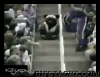 Sled GIFs - Get the best gif on GIFER
