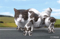 Quora GIFs - Get the best gif on GIFER