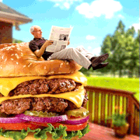 Cheeseburger GIFs - Get the best gif on GIFER